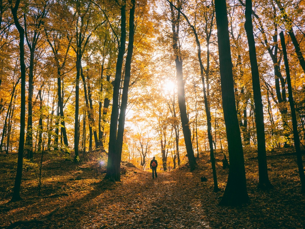 Op deze plekken in de natuur komt de Goodbye-redactie hélemaal tot rust ...